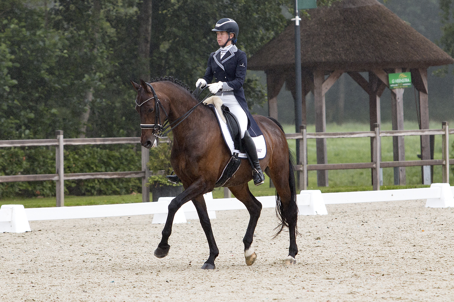 Paardrijles: dressuur en/of springen